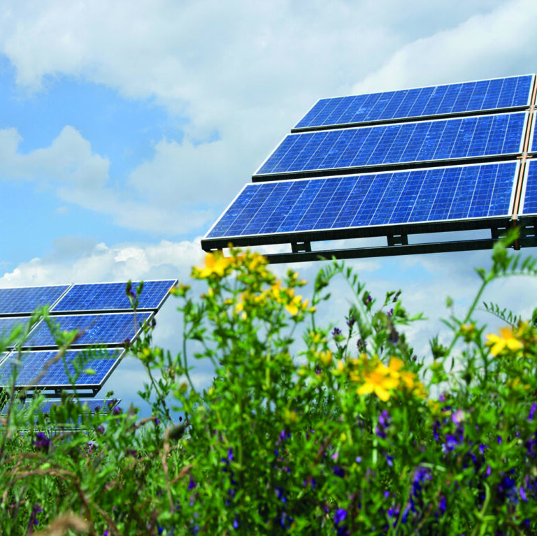 IKO Elements bio solar roof systems | IKO Group UK