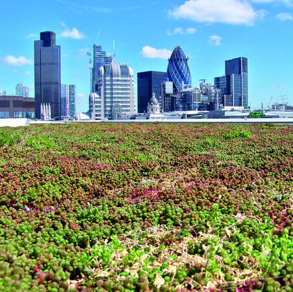 IKO enertherm XPS PLUS & WCL PLUS | Insulation Boards