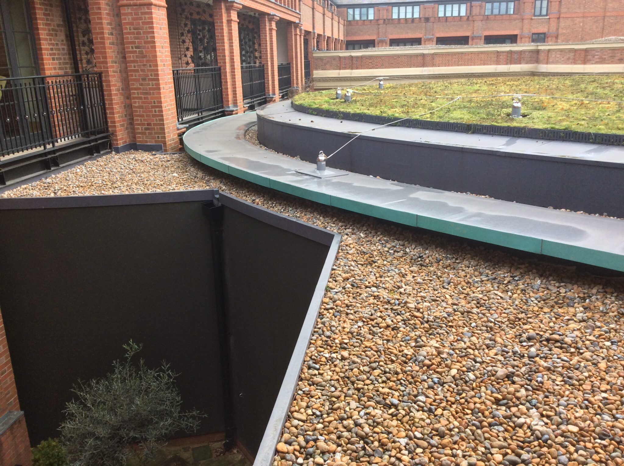 New Green Roof Membrane from IKO Polymeric | IKO Group UK